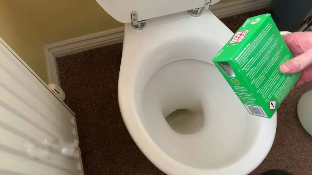 Kwas cytrynowy w toalecie, dlaczego należy to zrobić: powód, dla ...